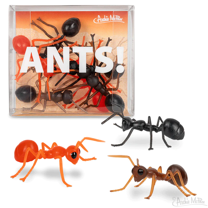 Ants! by Archie McPhee - Recognized as one of New Jersey's Best ...